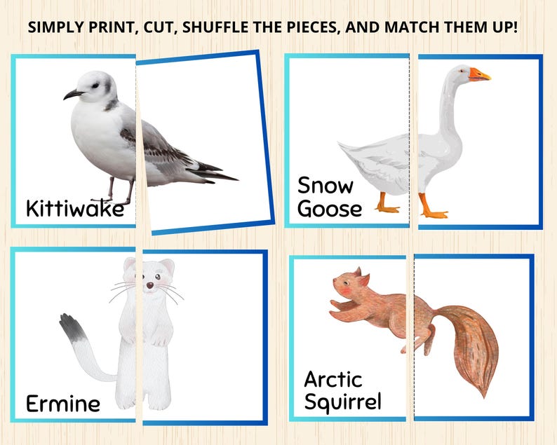Arctic Animal Matching,arctic Animal Puzzle,winter Animal Montessori ...