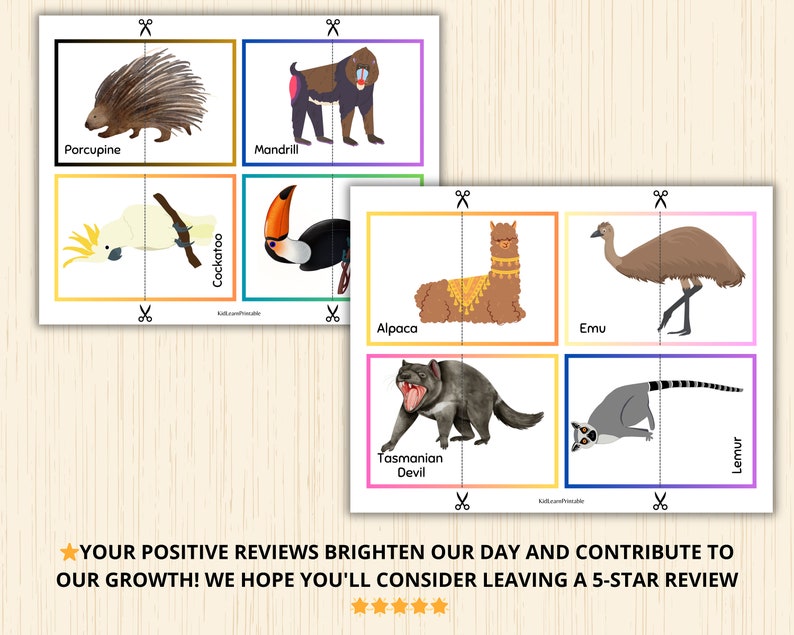Zoo Animals Matching Game,zoo Animals Puzzle Pairs,puzzle Symmetry ...