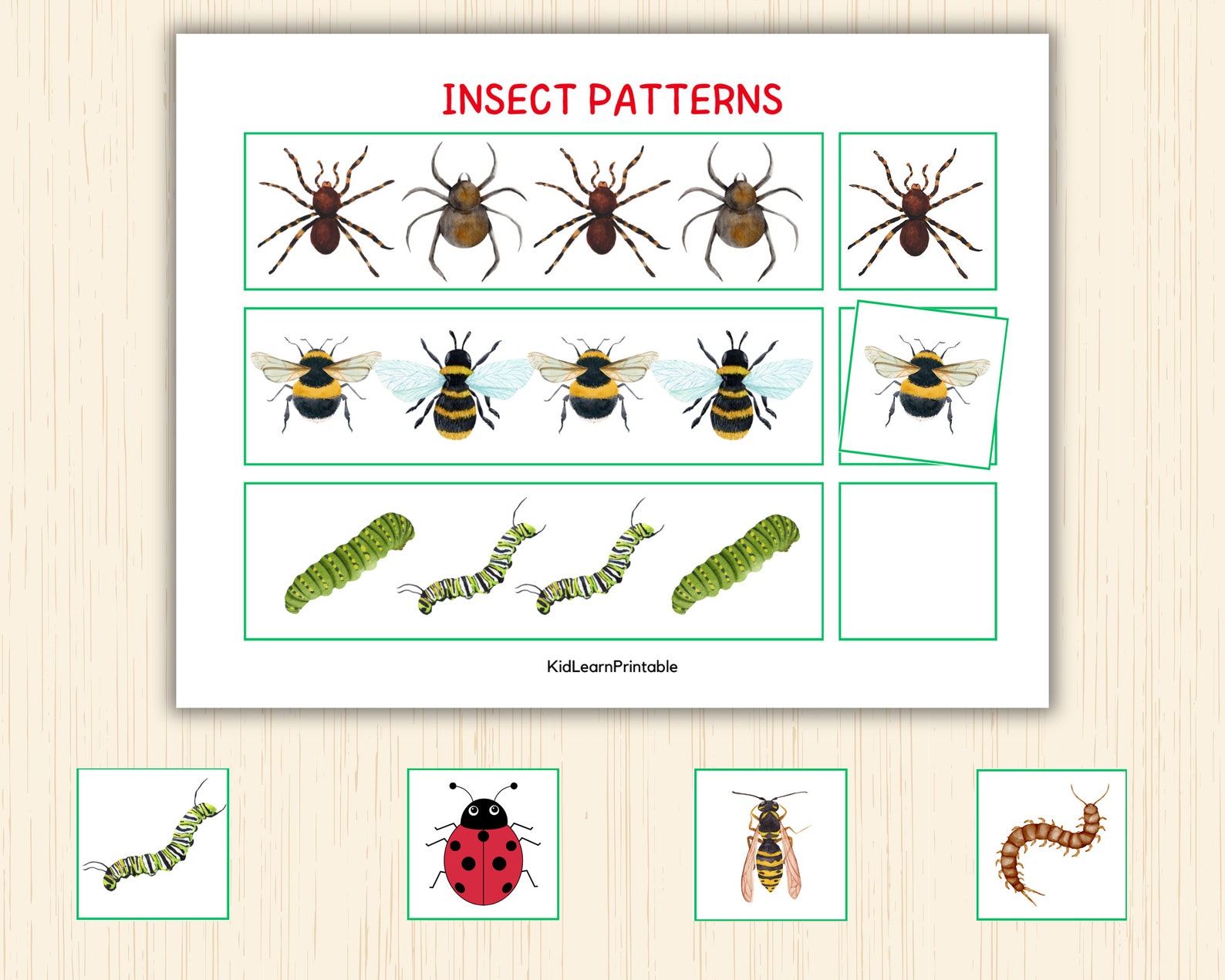 Insect Patterns,insect Activity,cut and Paste Patterns,preschool ...