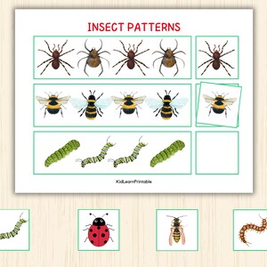 Insect Patterns,insect Activity,cut and Paste Patterns,preschool ...