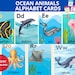 Ocean Alphabet Cards,ocean Animal Flash Cards,montessori,world Ocean ...