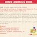 Bird Coloring Pages,bird Coloring Sheets,bird Preschool Activity,bird ...