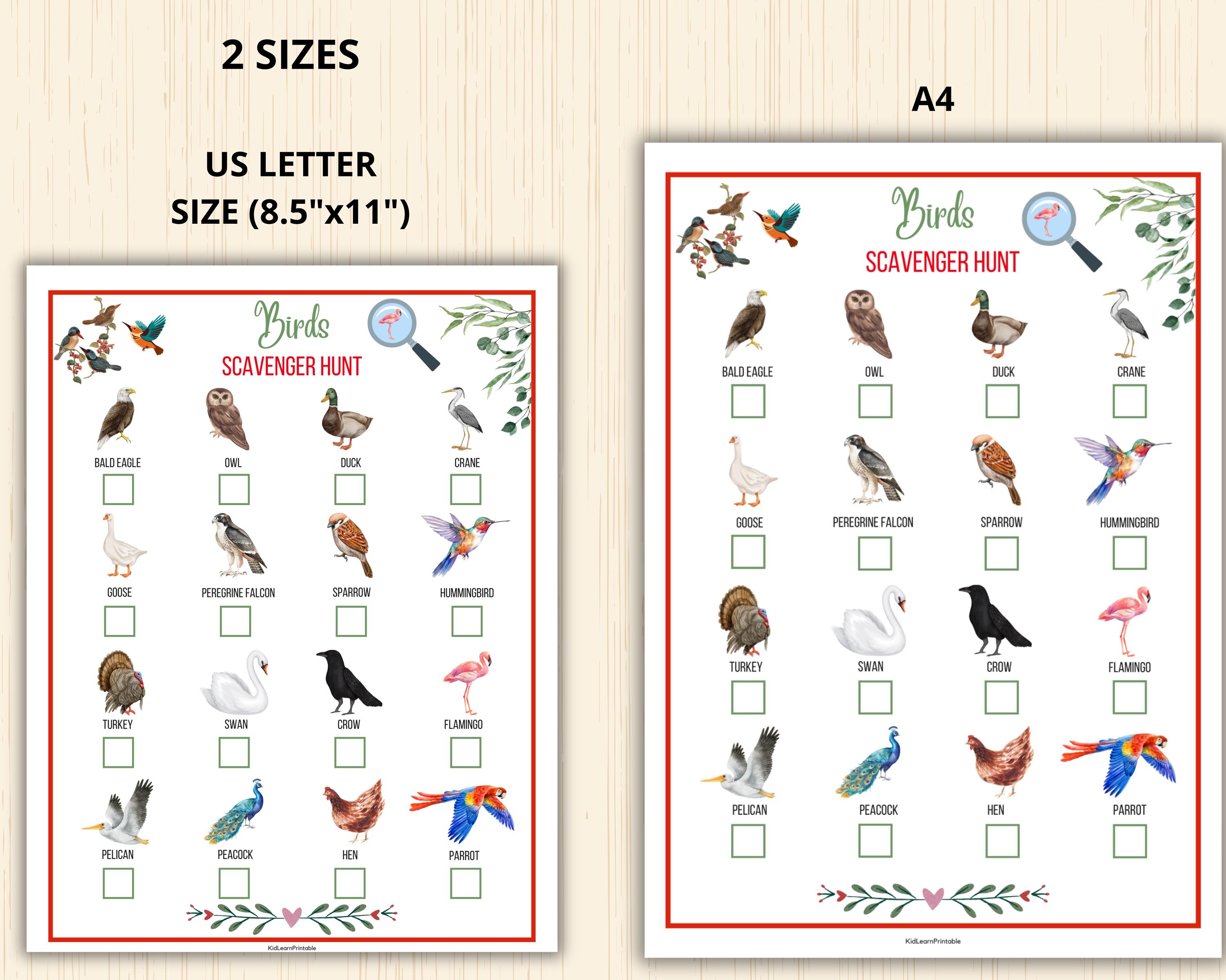 Birds Scavenger Hunt,nature Scavenger Hunt,nature Activity,bird ...