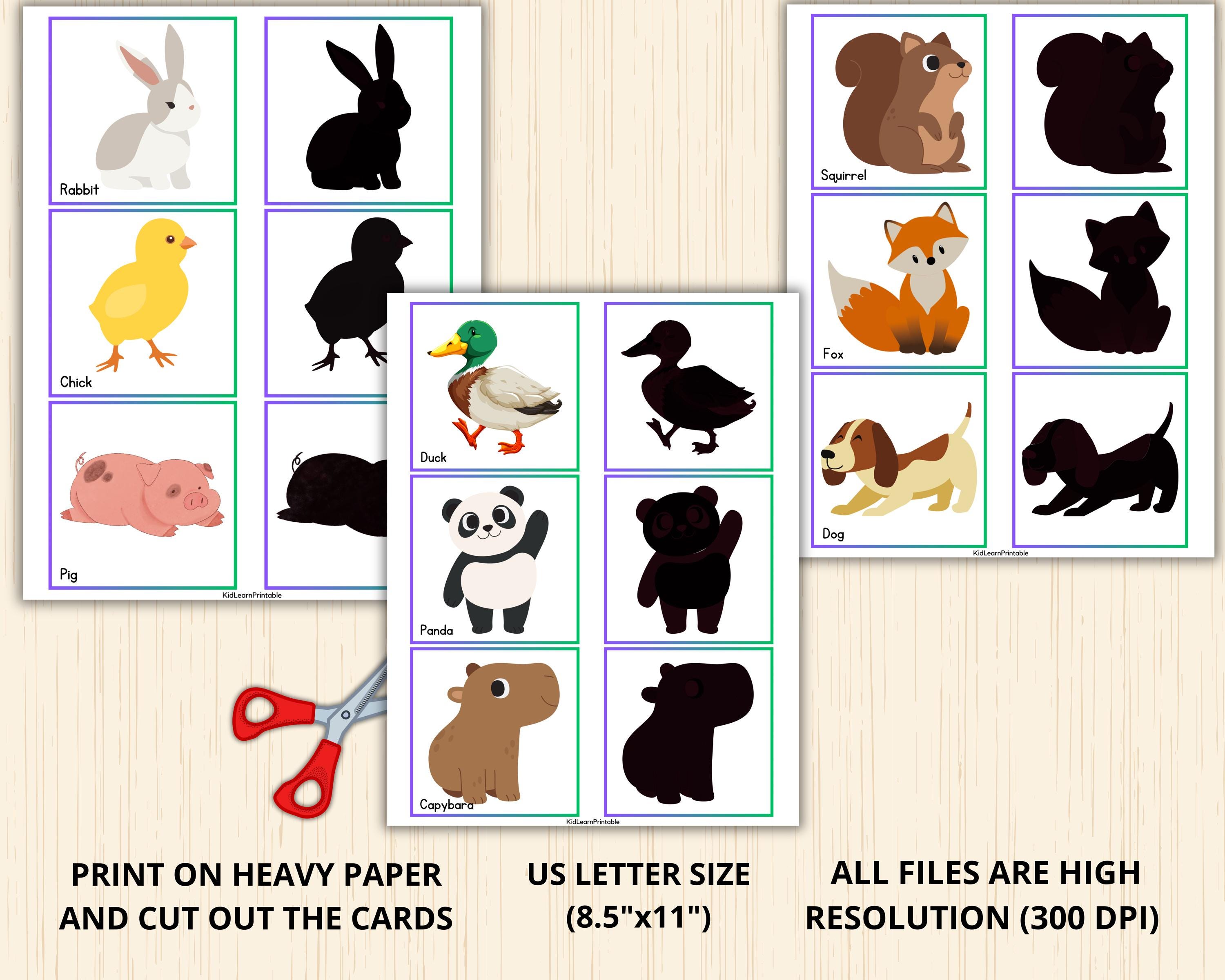 Animal Shadow Matching ,animal Puzzles,montessori Animal Shadow Match ...