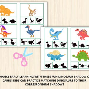 Dinosaur Shadow Matching,dinosaur Matching,dinosaur Activity for Kids ...