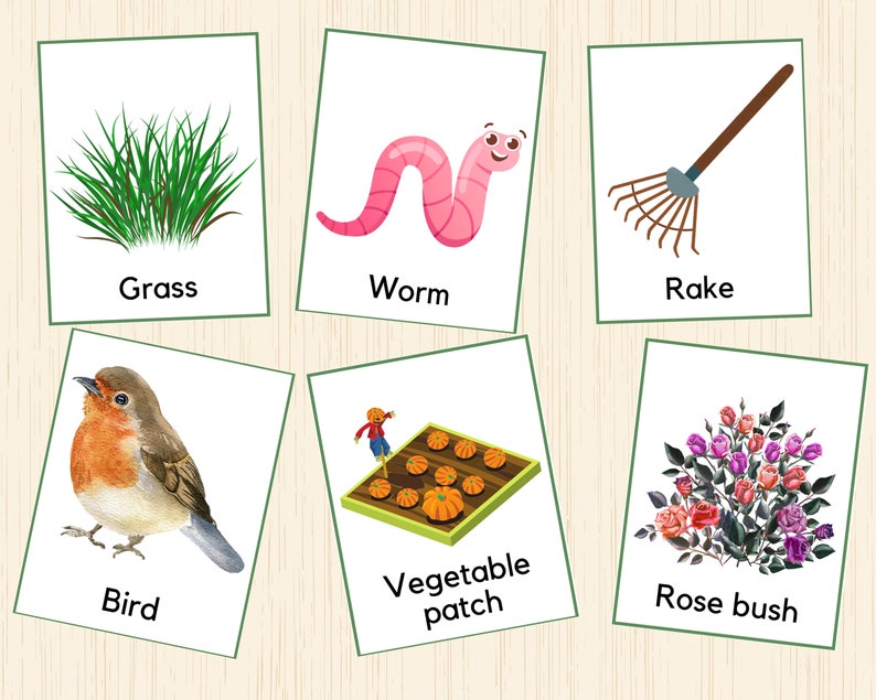 Montessori Garden Cards, Preschool Printable, Garden Flashcards ...