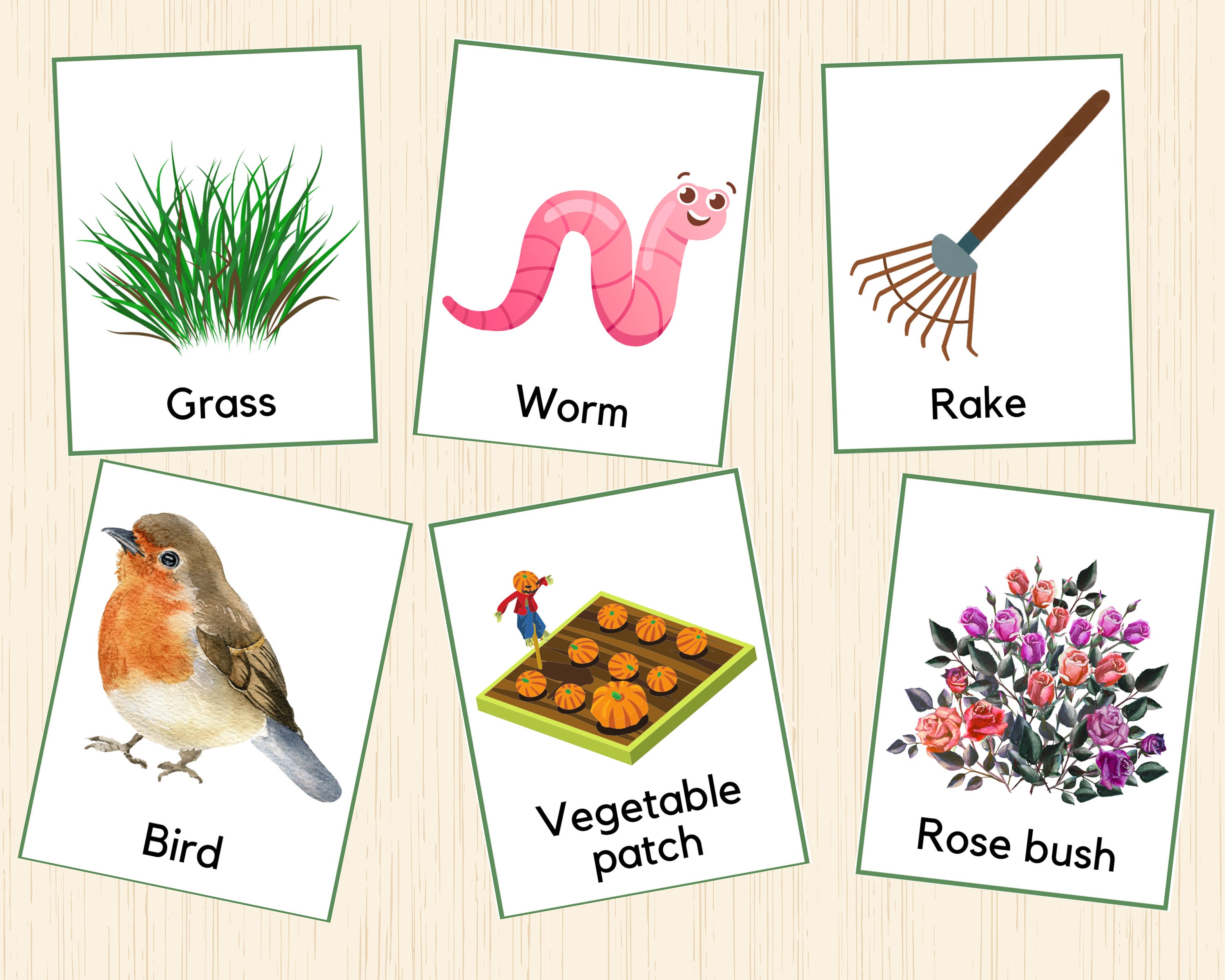 Montessori Garden Cards, Preschool Printable, Garden Flashcards ...