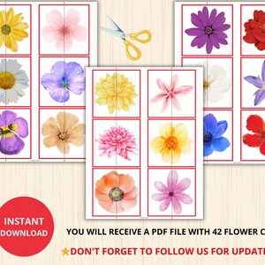 Flowers Symmetry Matching,flower Puzzle,flowers Unit Study,spring ...