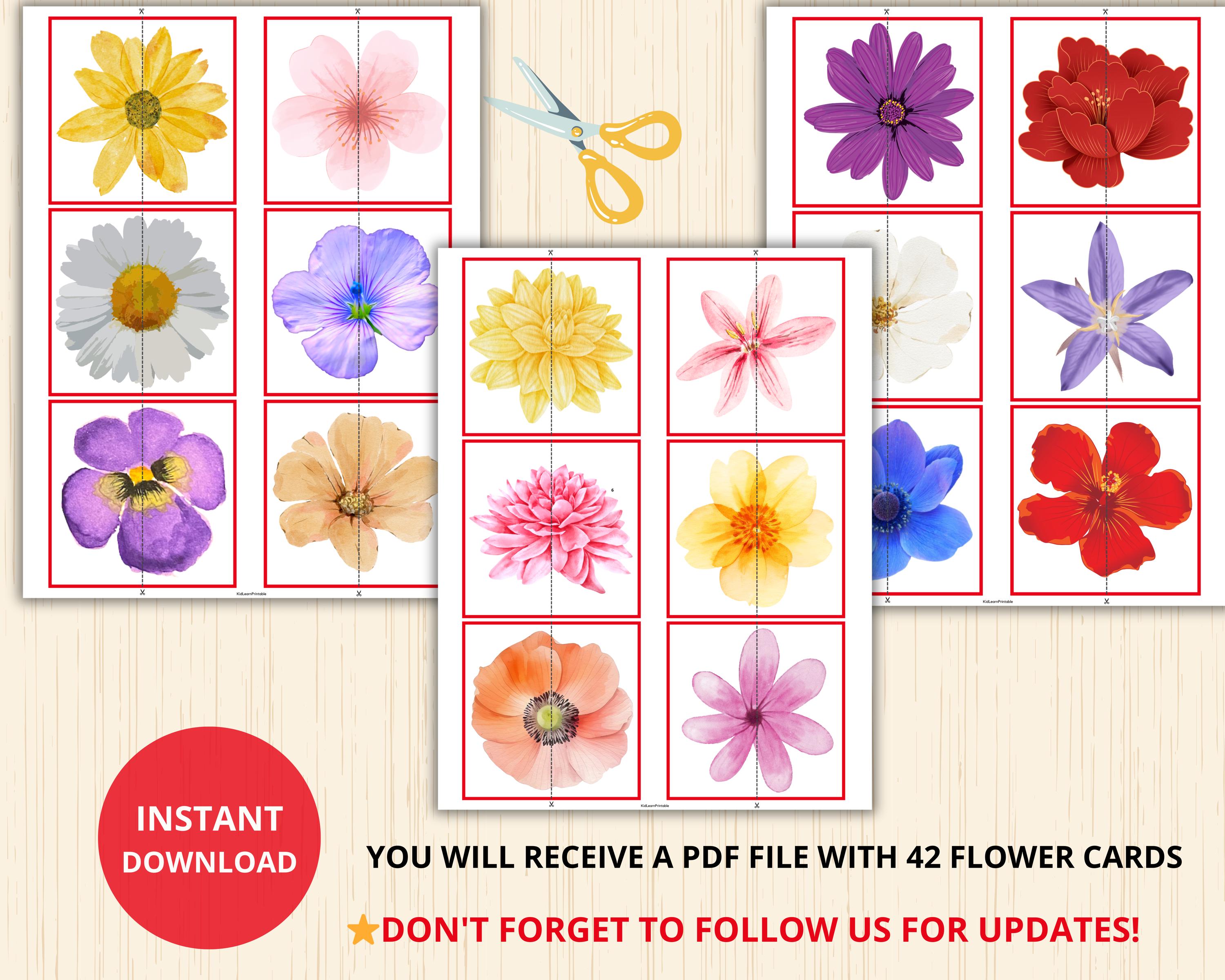 Flowers Symmetry Matching,flower Puzzle,flowers Unit Study,spring ...