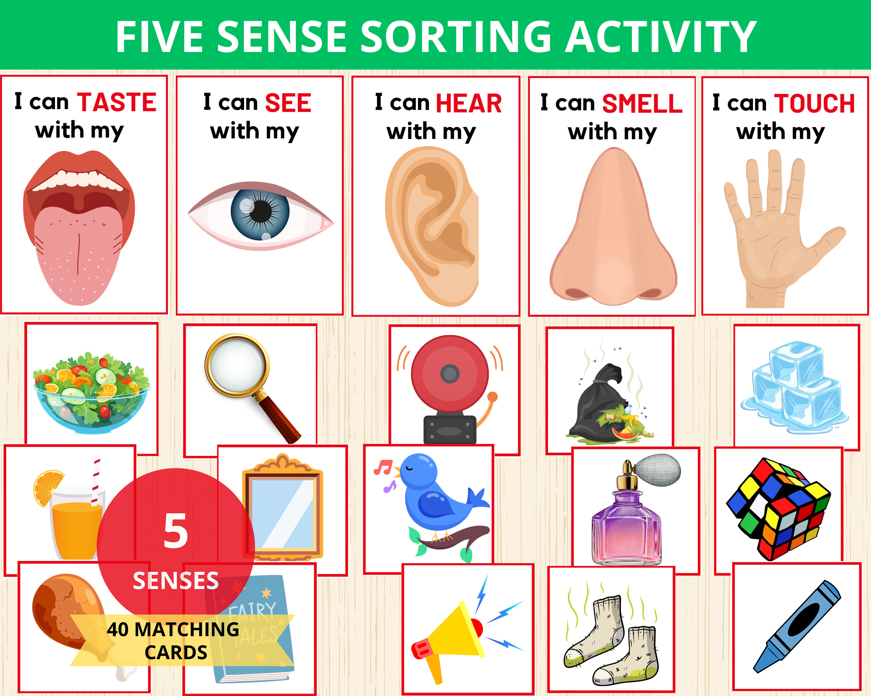 Five Senses Sorting Activity, 5 Sense Activities,5 Senses ...