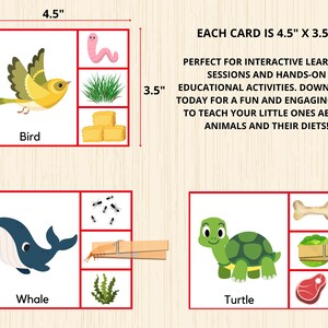 Animals and Their Food Matching,animals Food Games,animal Matching Food ...