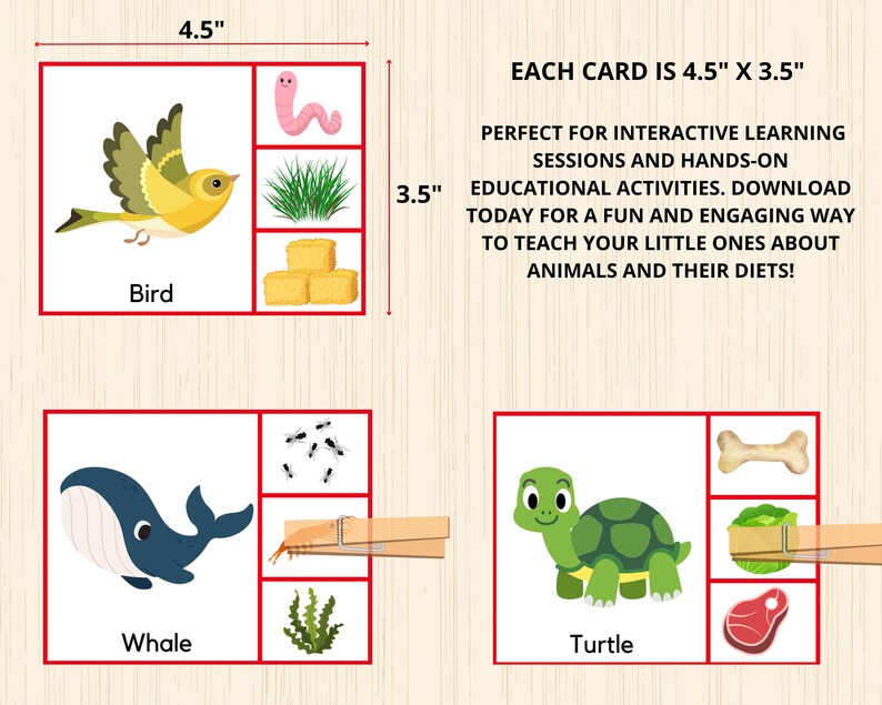 Animals and Their Food Matching,animals Food Games,animal Matching Food ...