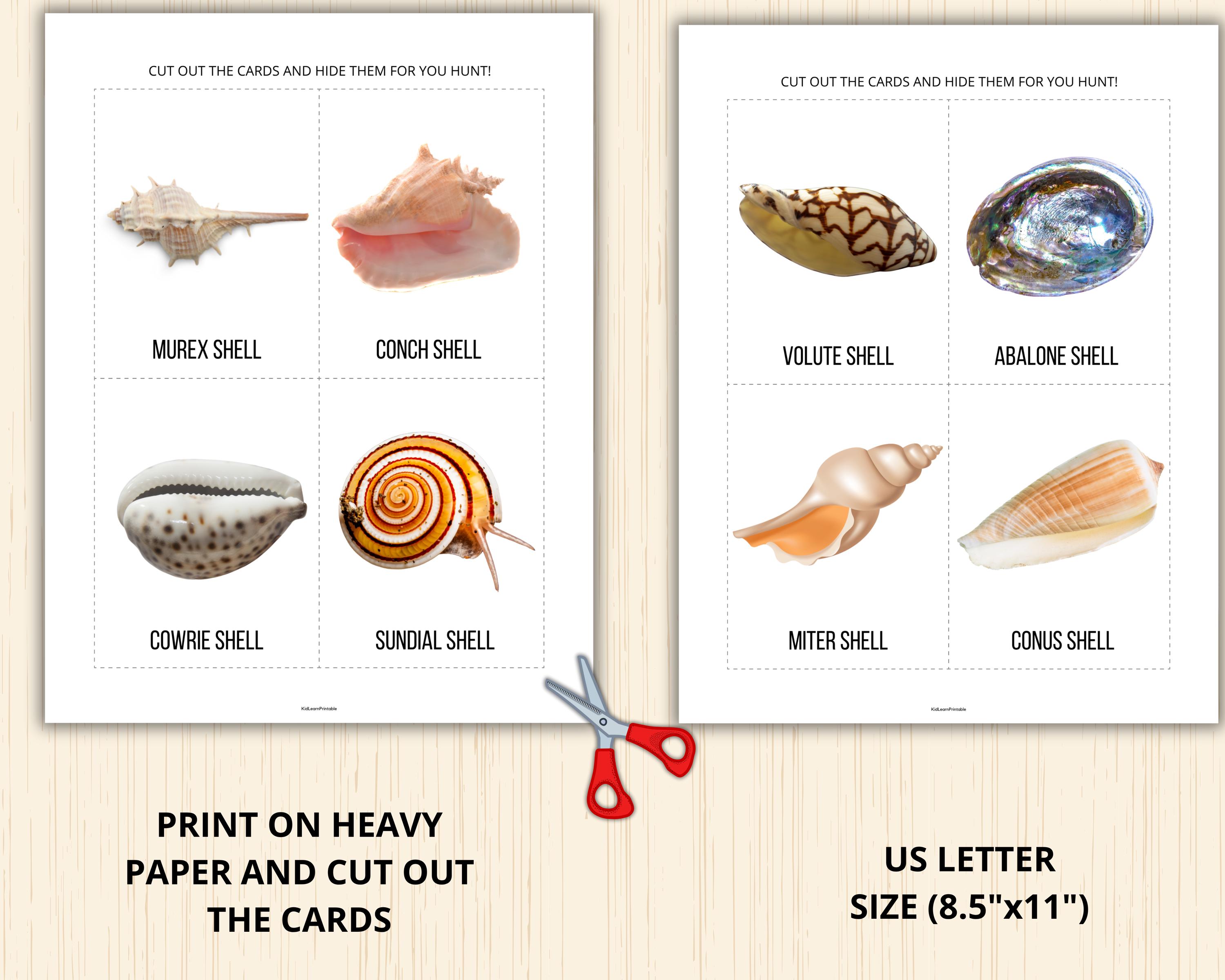 Seashell Scavenger Hunt,ocean Treasure Hunt,ocean Scavenger Hunt ...