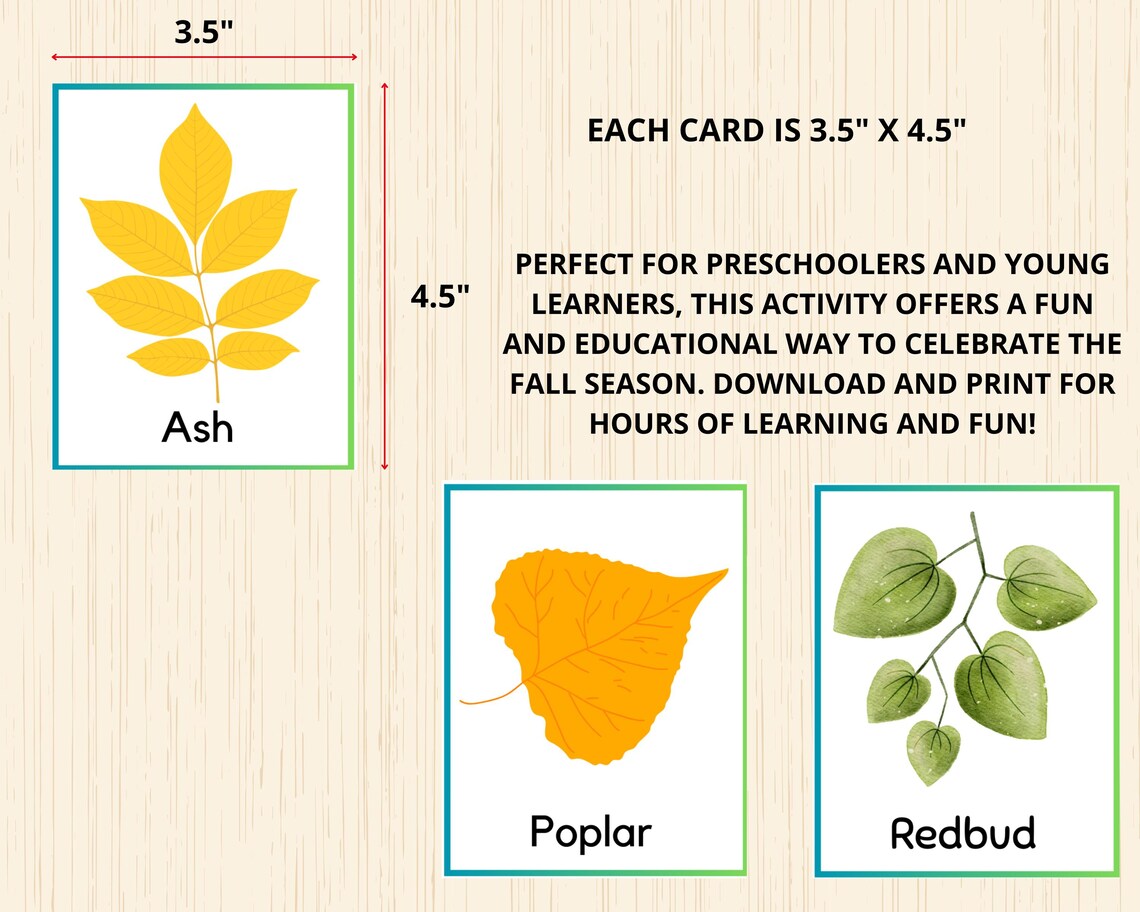 Autumn Leaves Flashcards,fall Montessori,homeschooling,leaf ...