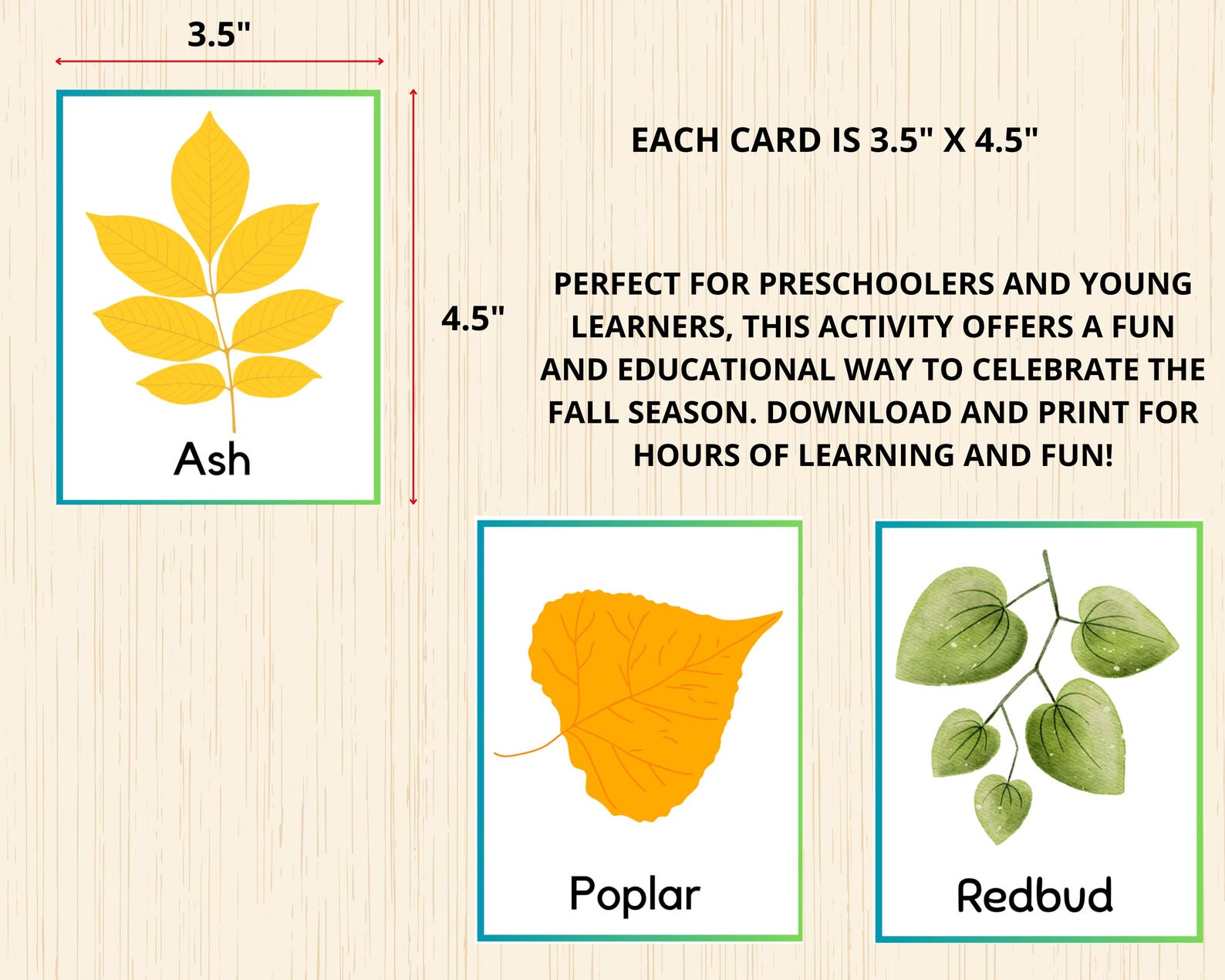 Autumn Leaves Flashcards,fall Montessori,homeschooling,leaf ...