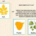 Autumn Leaves Flashcards,fall Montessori,homeschooling,leaf ...