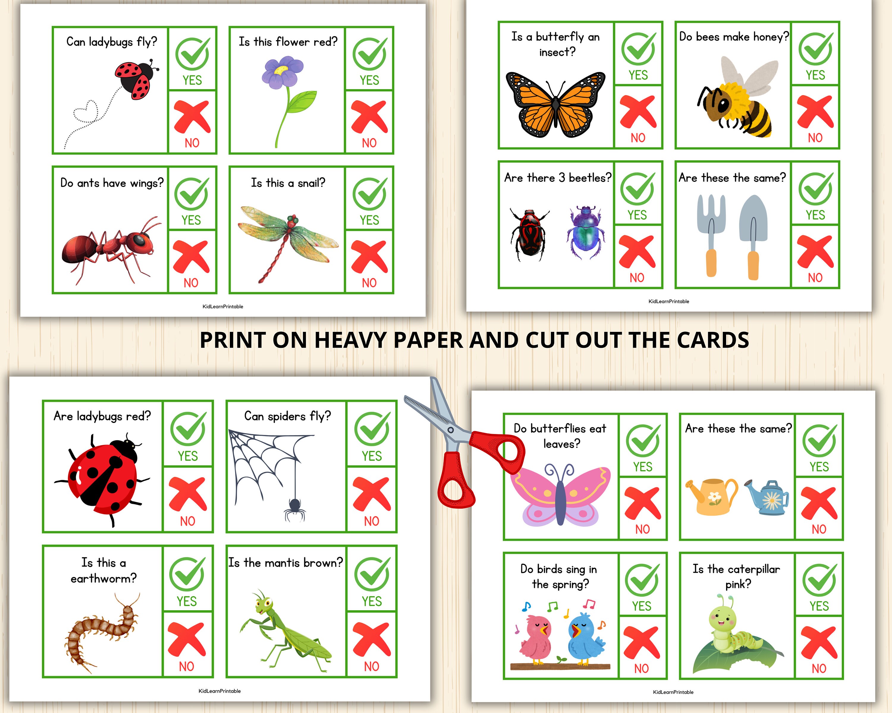 Spring Question Card,yes or No Question,spring Activities,spring Task ...