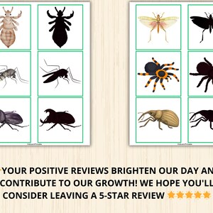 Insect Shadow Matching Cards,bug Shadow Matching, Preschool Insects ...