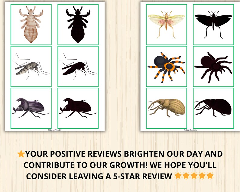 Insect Shadow Matching Cards,bug Shadow Matching, Preschool Insects ...