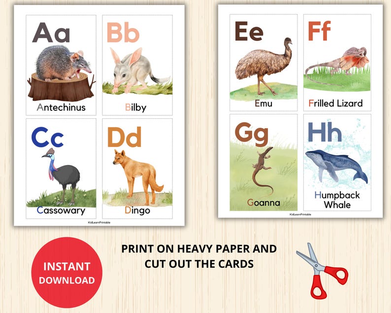Australian Animals Alphabet,australian Alphabet Posters,abc Alphabet ...