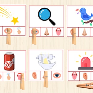 5 Senses Clip Cards, Five Senses Sorting Activity Game, Sort and Match ...