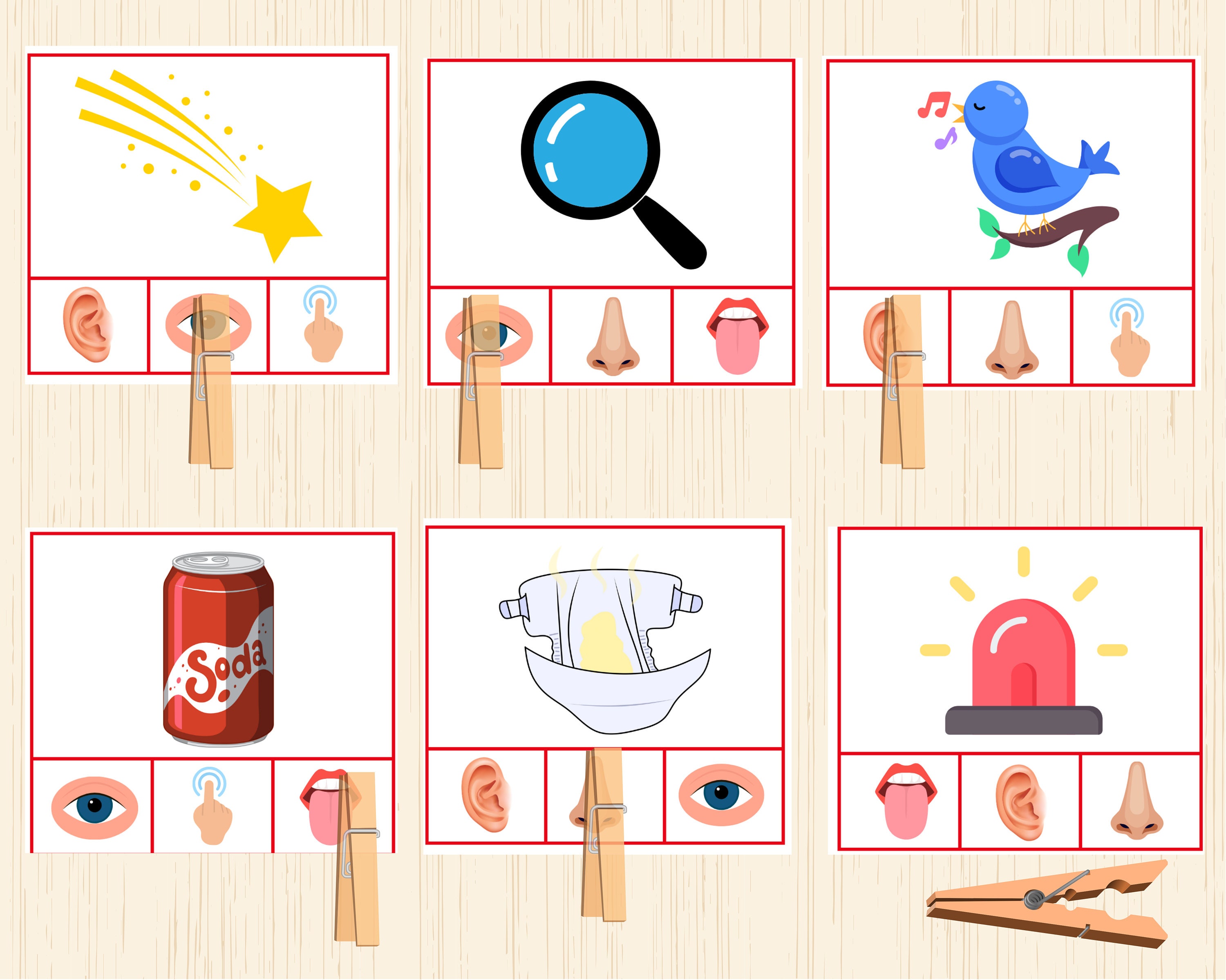 5 Senses Clip Cards, Five Senses Sorting Activity Game, Sort and Match ...