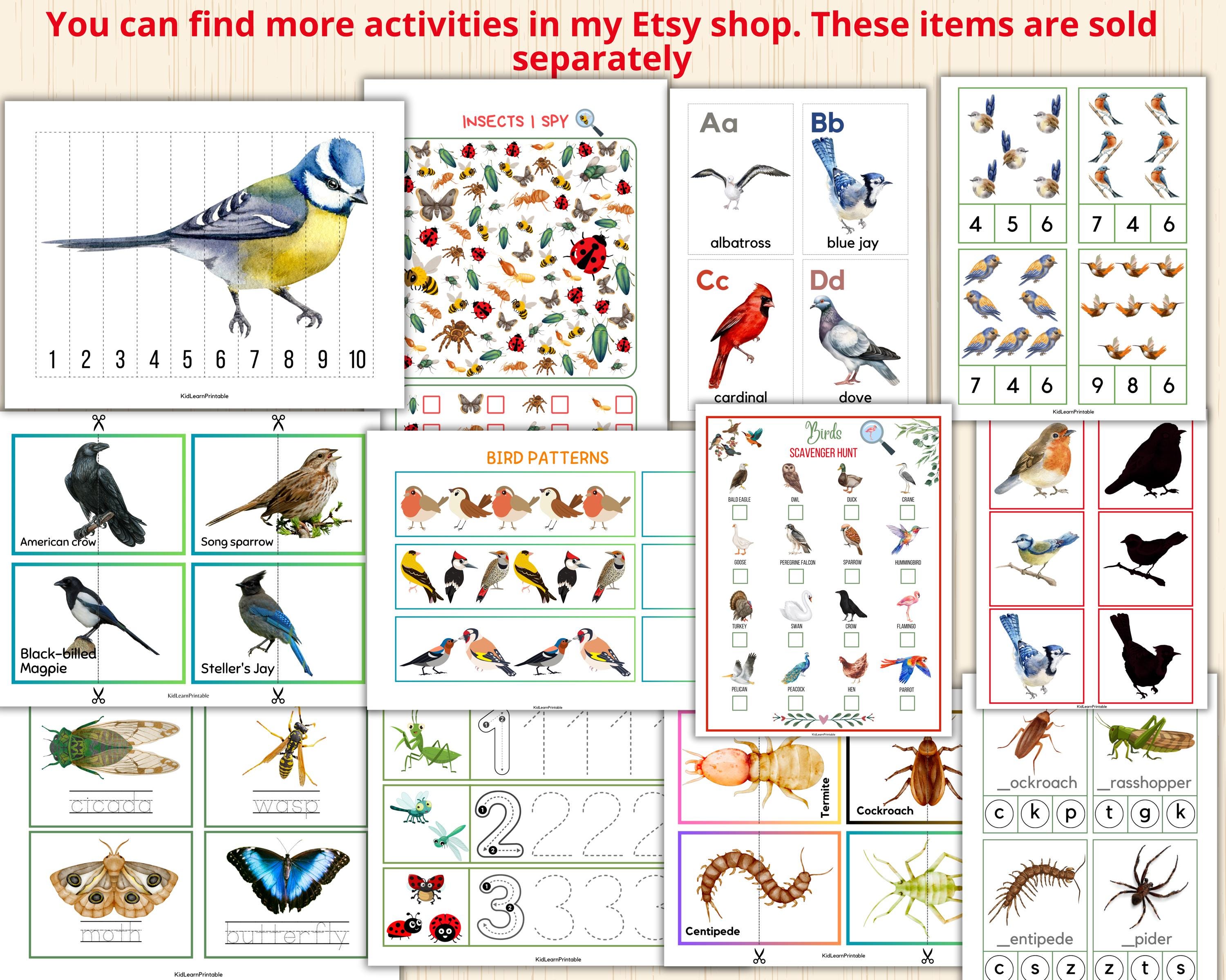 Bird Alphabet Tracing Card,birds Letter Tracing,animals Alphabet ...
