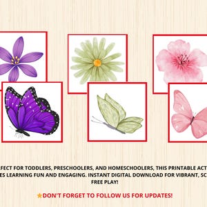Flower Butterfly Color Matching,color Matching Game,spring Activity ...