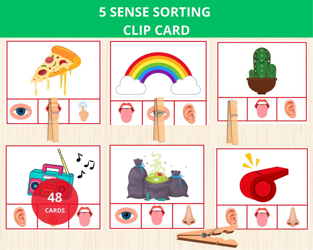 5 Senses Clip Cards, Five Senses Sorting Activity Game, Sort and Match ...