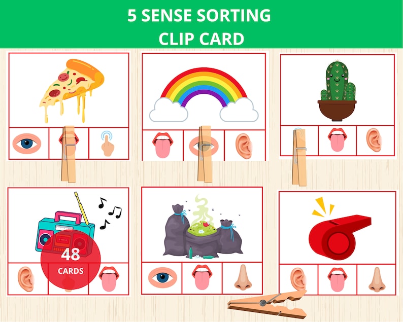 5 Senses Clip Cards, Five Senses Sorting Activity Game, Sort and Match ...