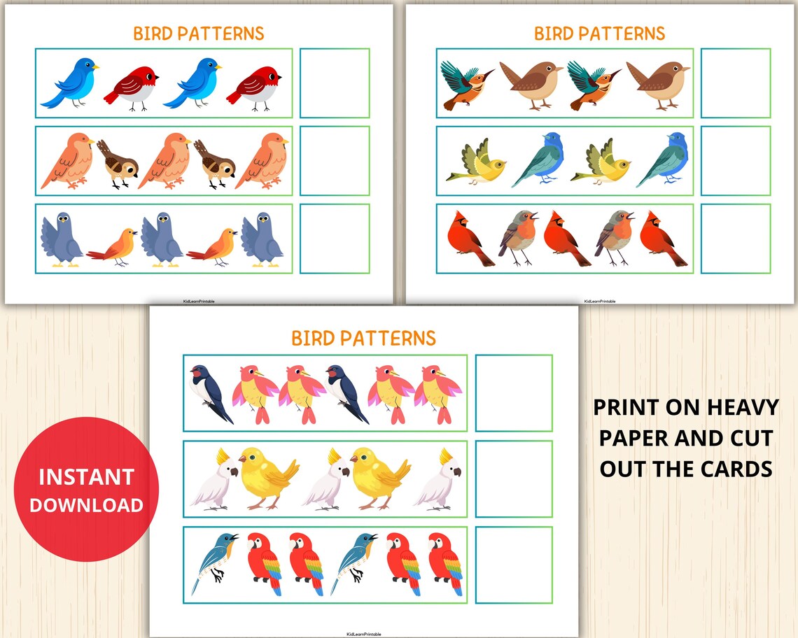 Bird Patterns,backyard Birds Activity,birds What Comes Next,pattern ...