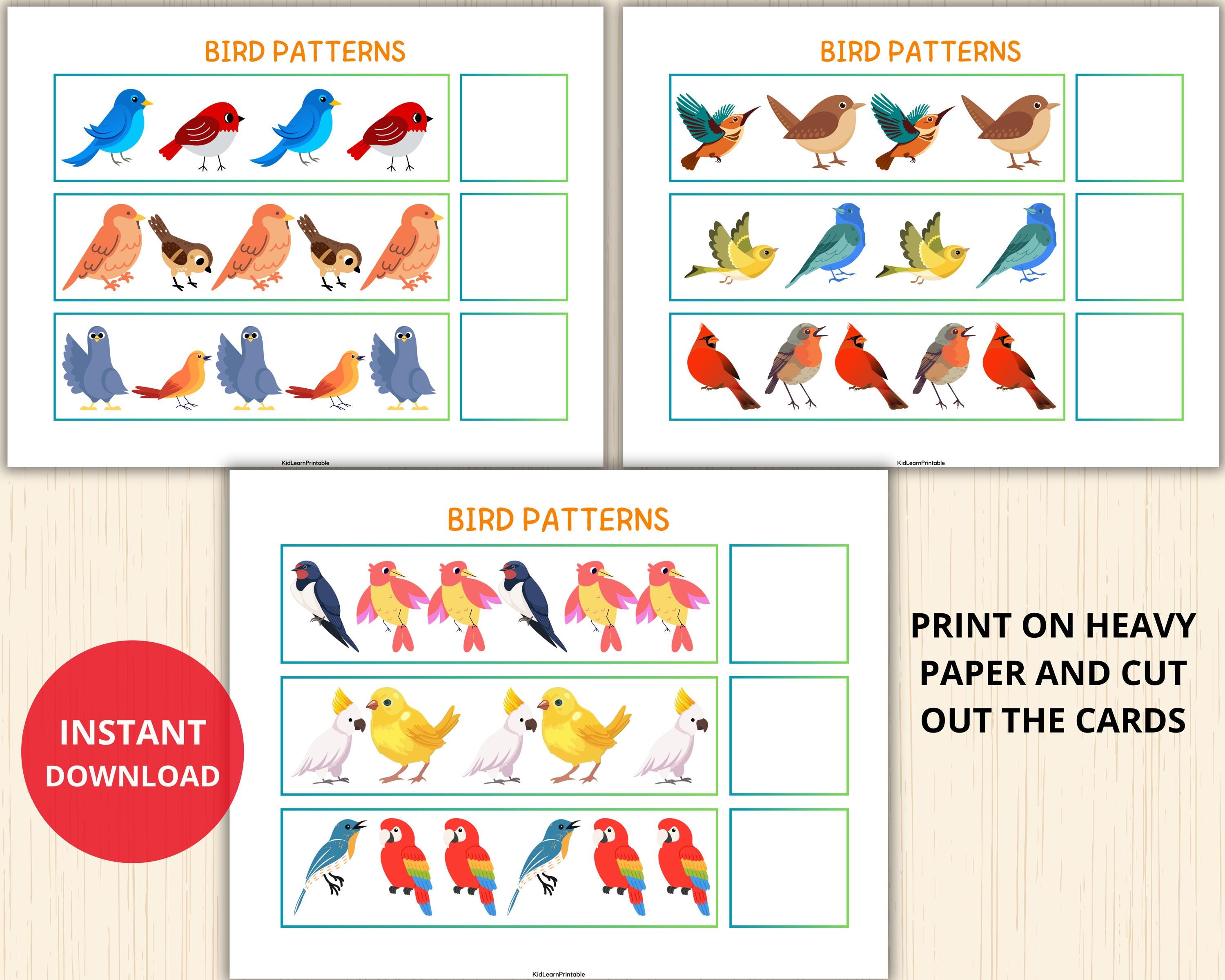 Bird Patterns,backyard Birds Activity,birds What Comes Next,pattern ...