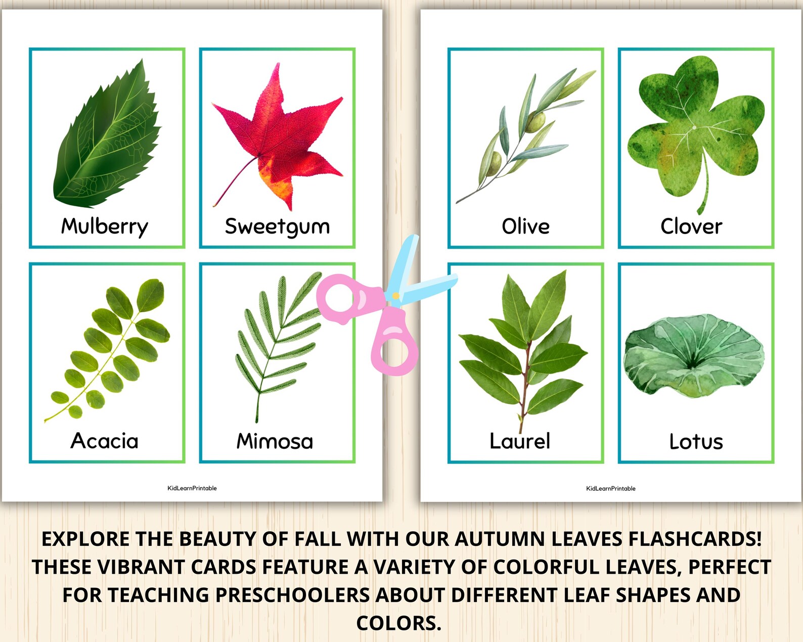 Autumn Leaves Flashcards,fall Montessori,homeschooling,leaf ...