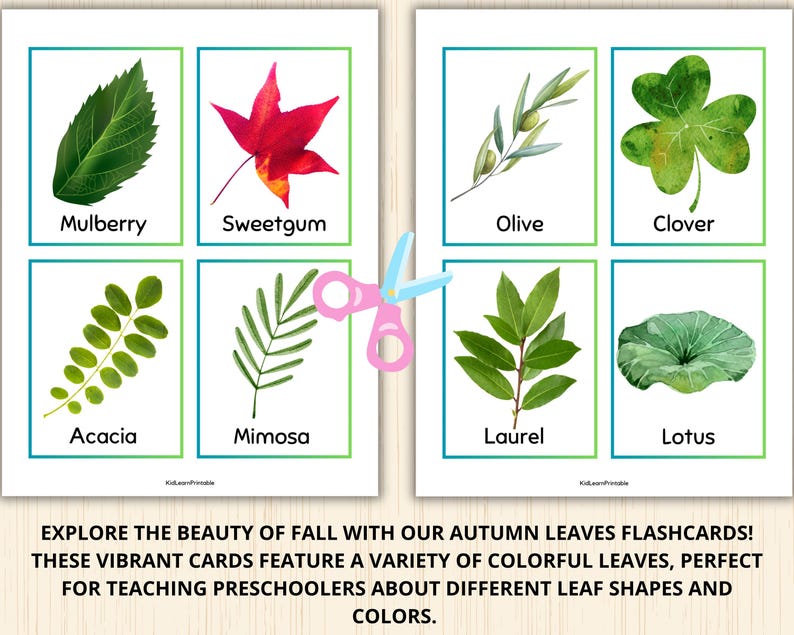 Autumn Leaves Flashcards,fall Montessori,homeschooling,leaf ...