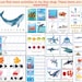 Ocean Animal Cutting Strips,cutting Practice Worksheets,sea Animal ...