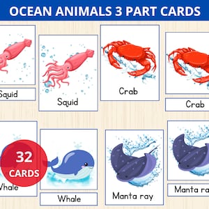 Ocean Montessori 3 Part Cards,sea Animals Vocabulary Cards,ocean Animal ...