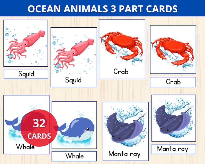 Ocean Montessori 3 Part Cards,sea Animals Vocabulary Cards,ocean Animal ...