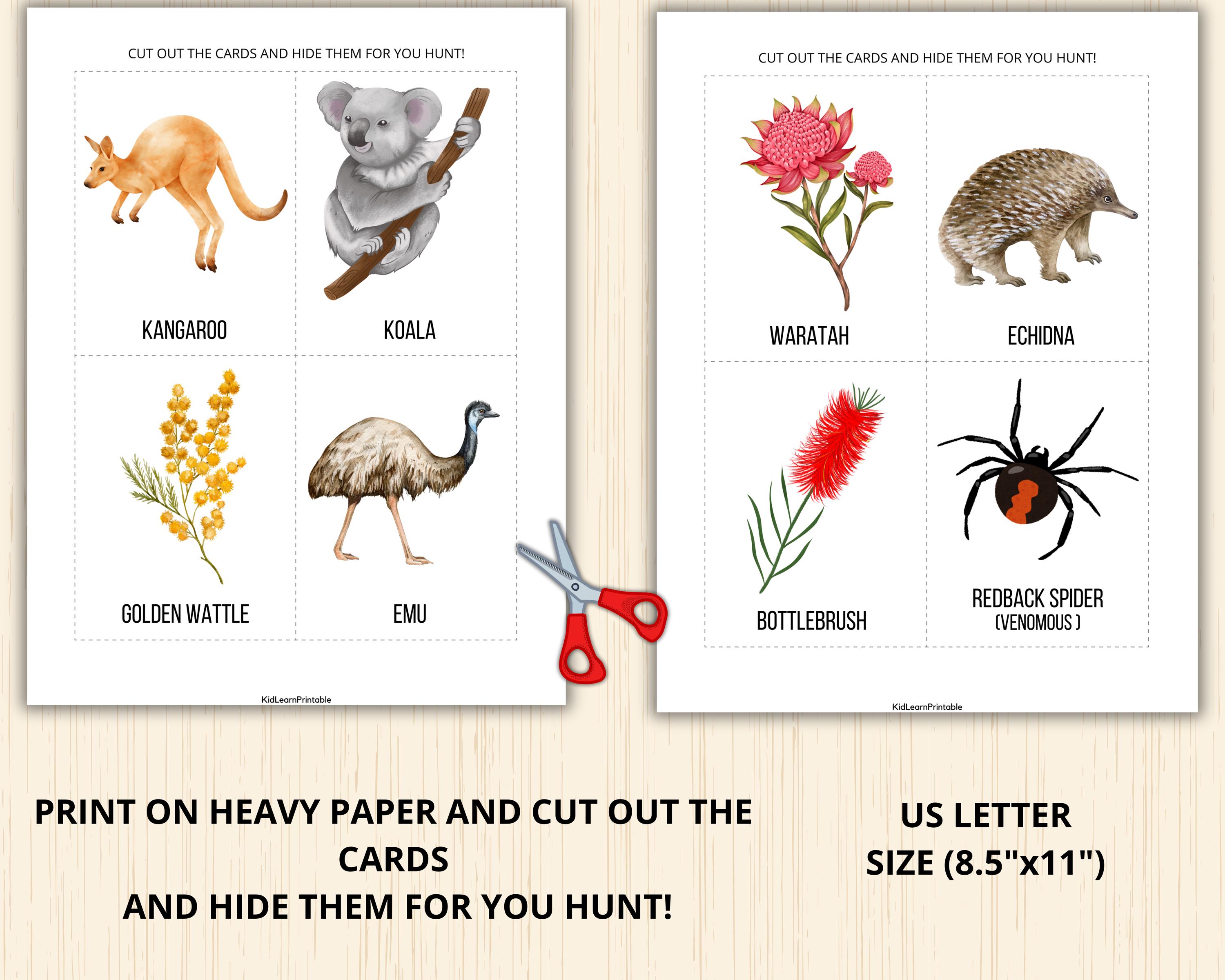 Australia Scavenger Hunt,australian Nature Hunt,australian Activity ...