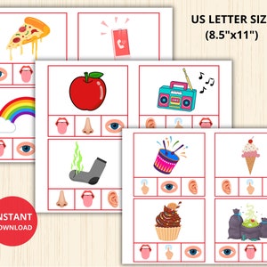 5 Senses Clip Cards, Five Senses Sorting Activity Game, Sort and Match ...