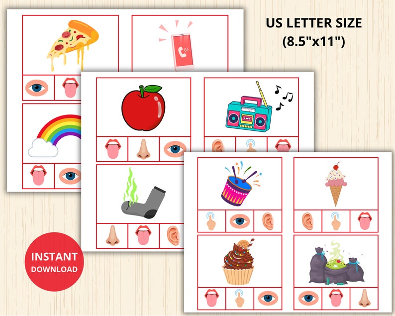 5 Senses Clip Cards, Five Senses Sorting Activity Game, Sort and Match ...