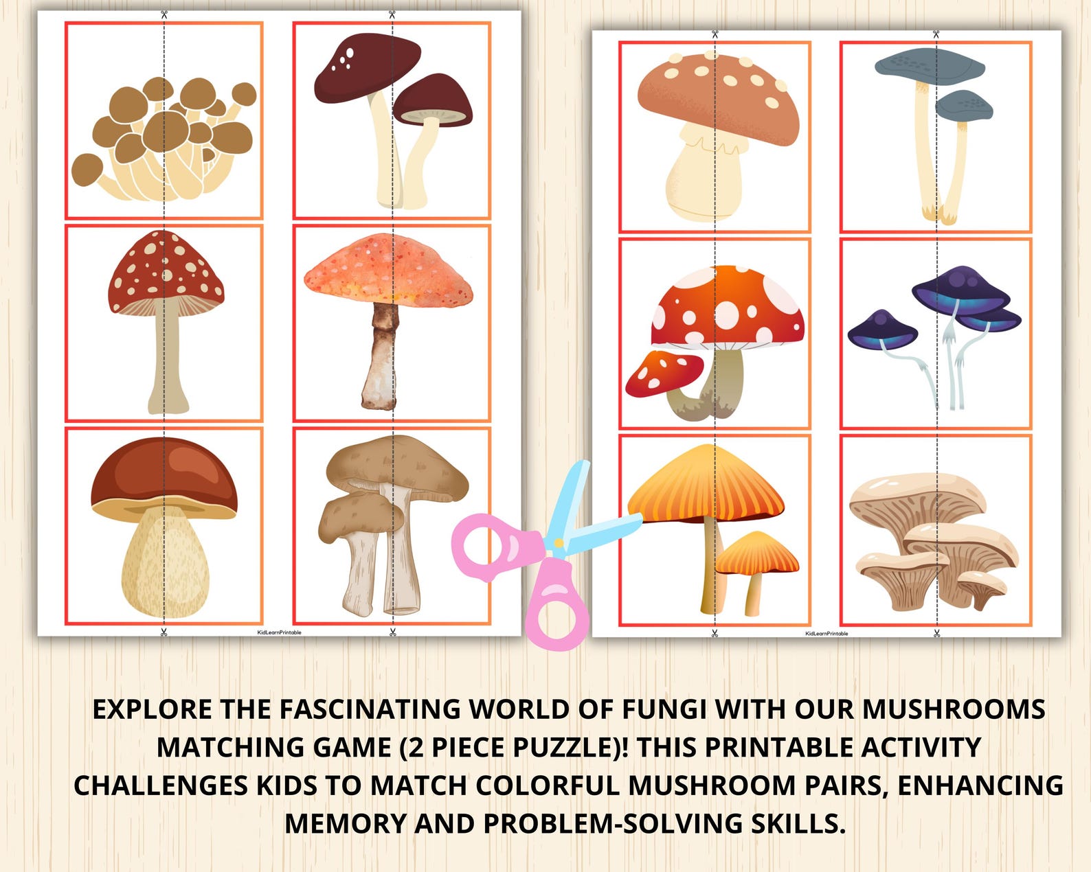 Fall Matching Mushroom Activity,symmetry Puzzle,2 Piece Puzzle,autumn ...