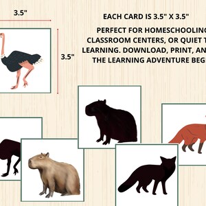 Zoo Animals Shadow Matching Game,wild Animals Matching,animal Matching ...