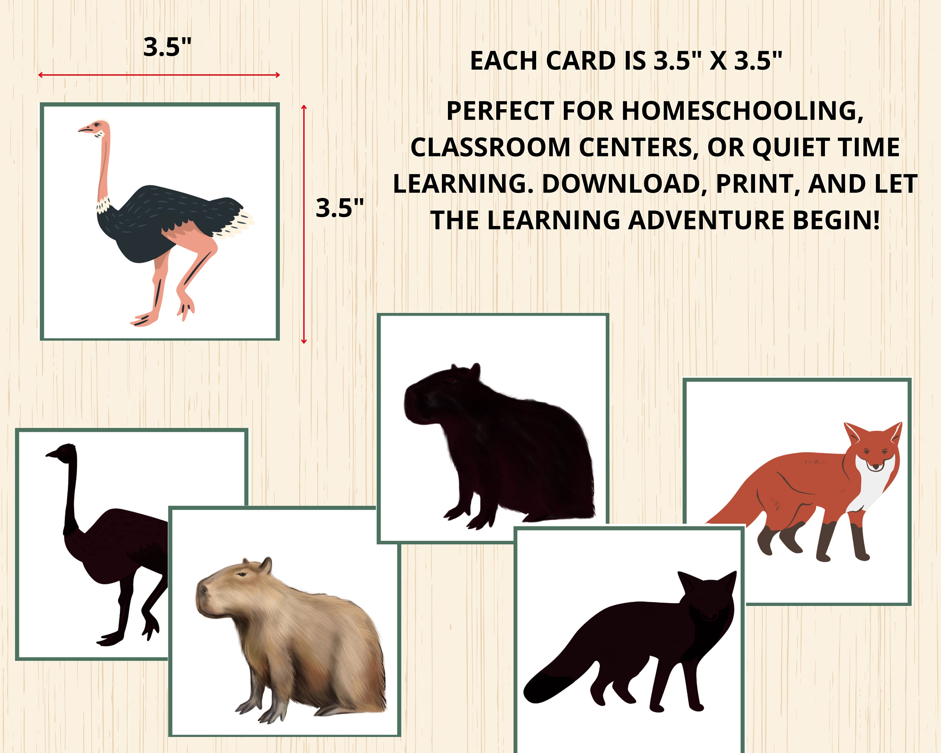 Zoo Animals Shadow Matching Game,wild Animals Matching,animal Matching ...