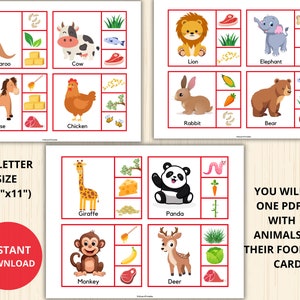 Animals and Their Food Matching,animals Food Games,animal Matching Food ...