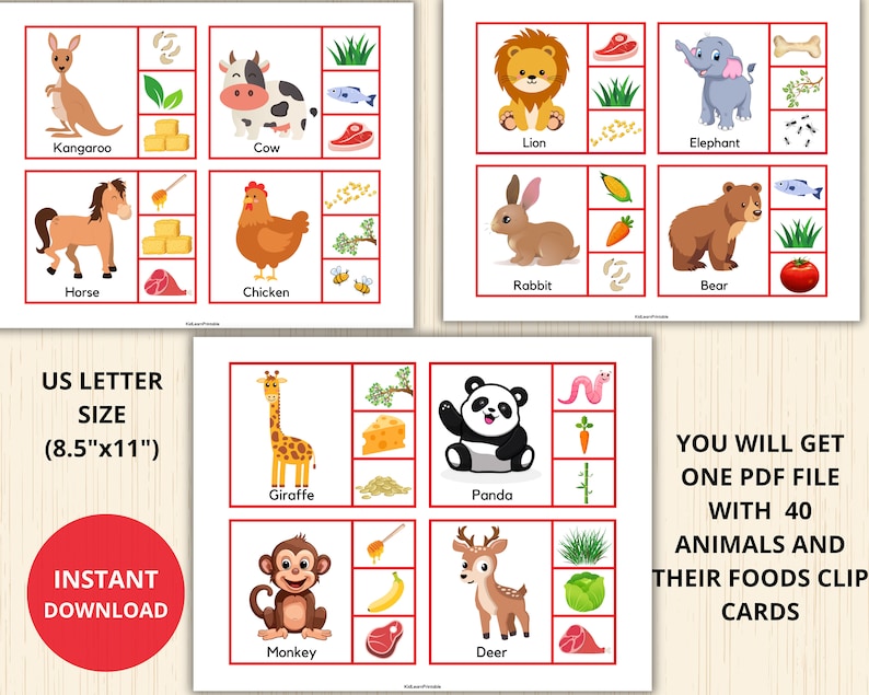Animals and Their Food Matching,animals Food Games,animal Matching Food ...