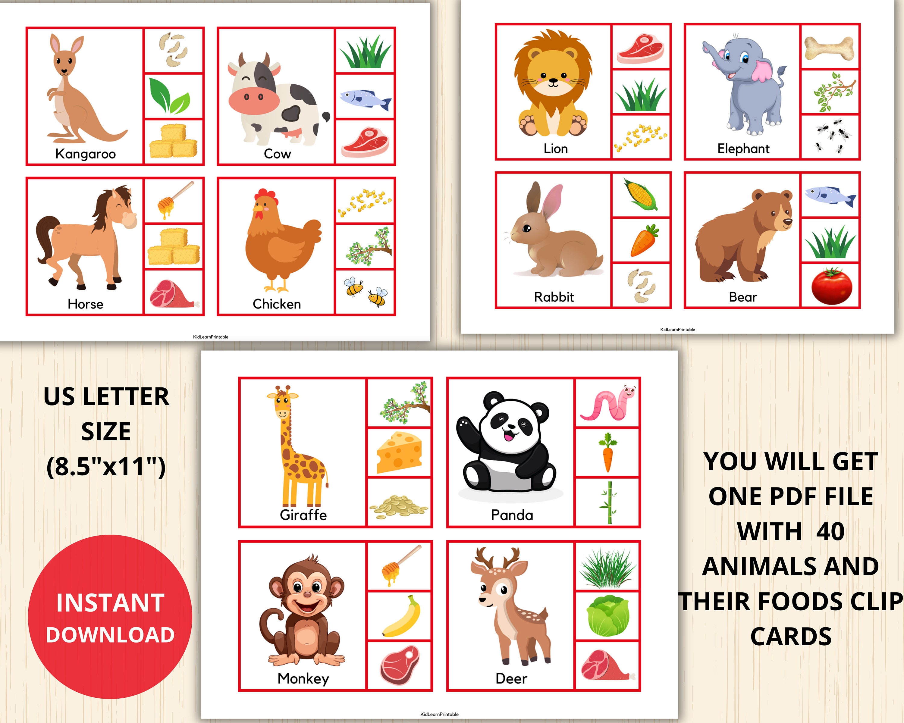 Animals and Their Food Matching,animals Food Games,animal Matching Food ...