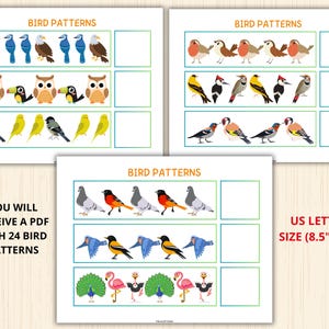Bird Patterns,backyard Birds Activity,birds What Comes Next,pattern ...