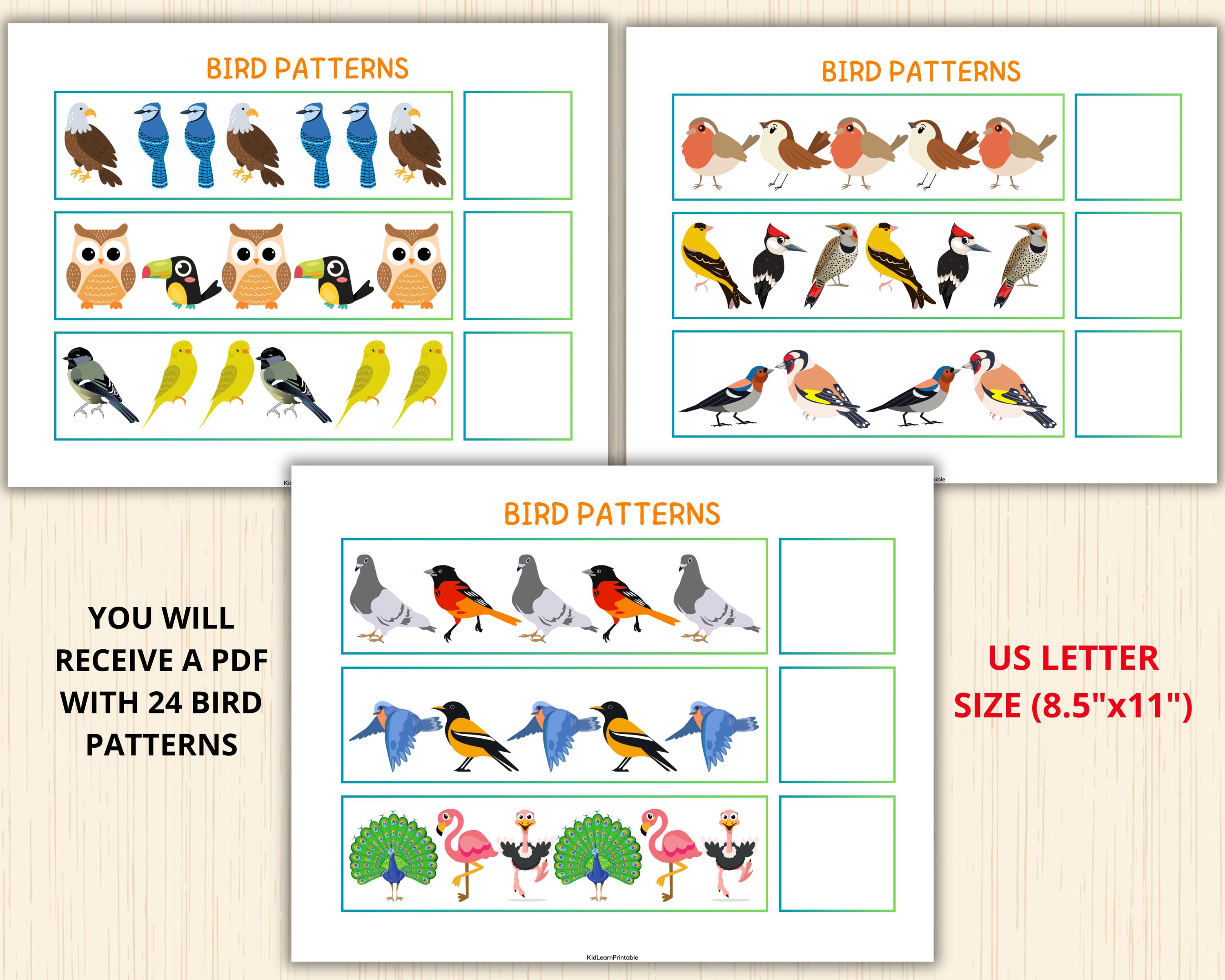 Bird Patterns,backyard Birds Activity,birds What Comes Next,pattern ...