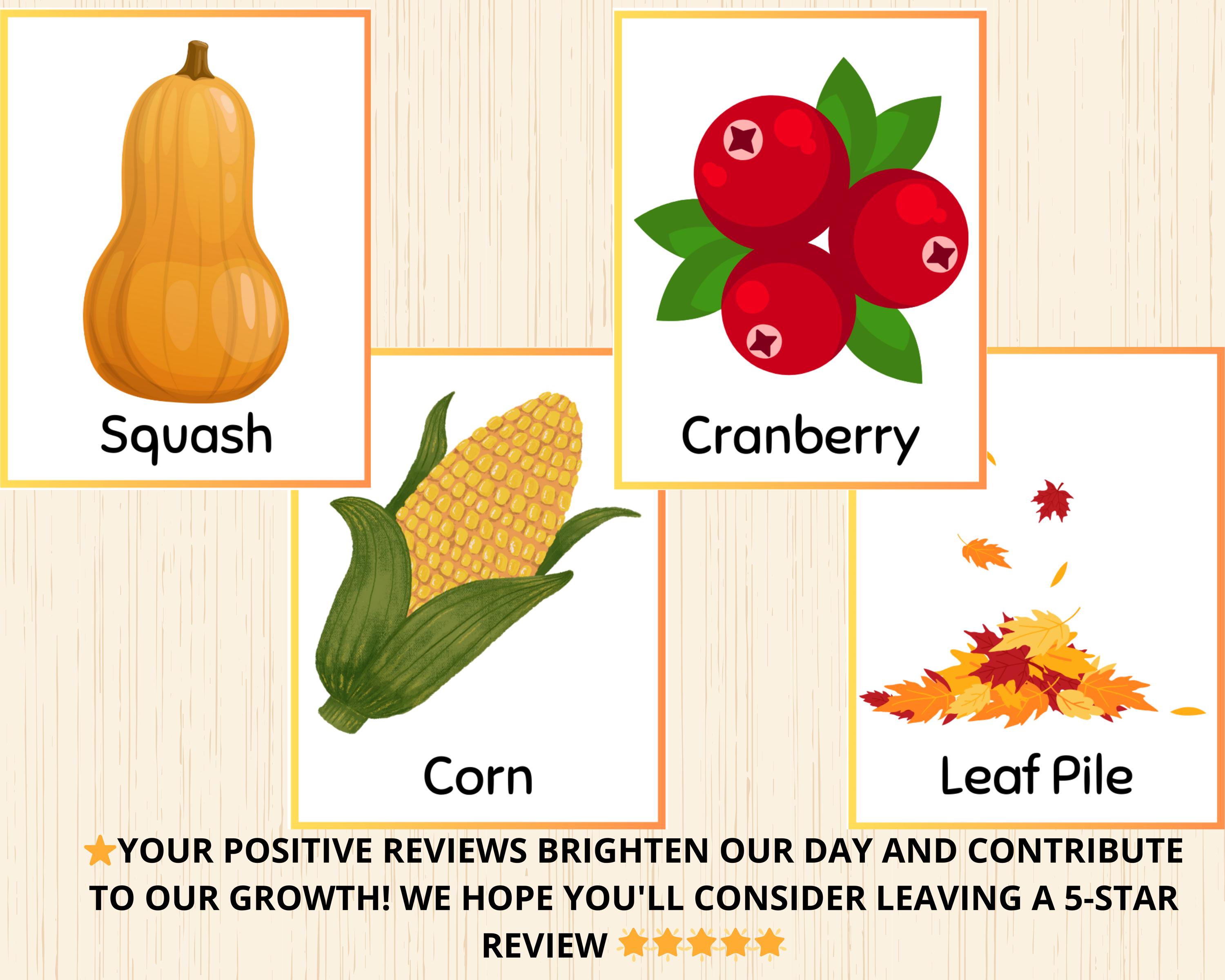 Autumn Flashcard,fall Vocabulary,nature Cards,autumn Montessori,autumn ...