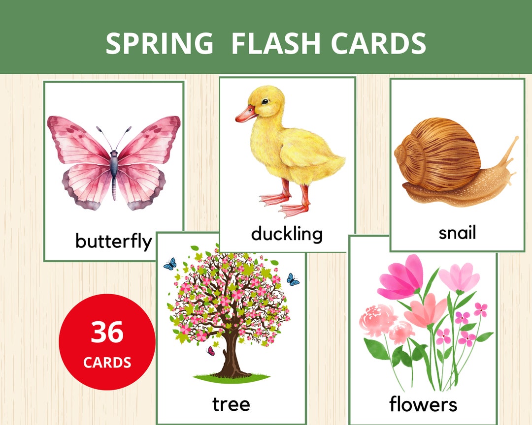 Spring Vocabulary Flashcards, Spring Word Cards,nature Cards,sensory ...